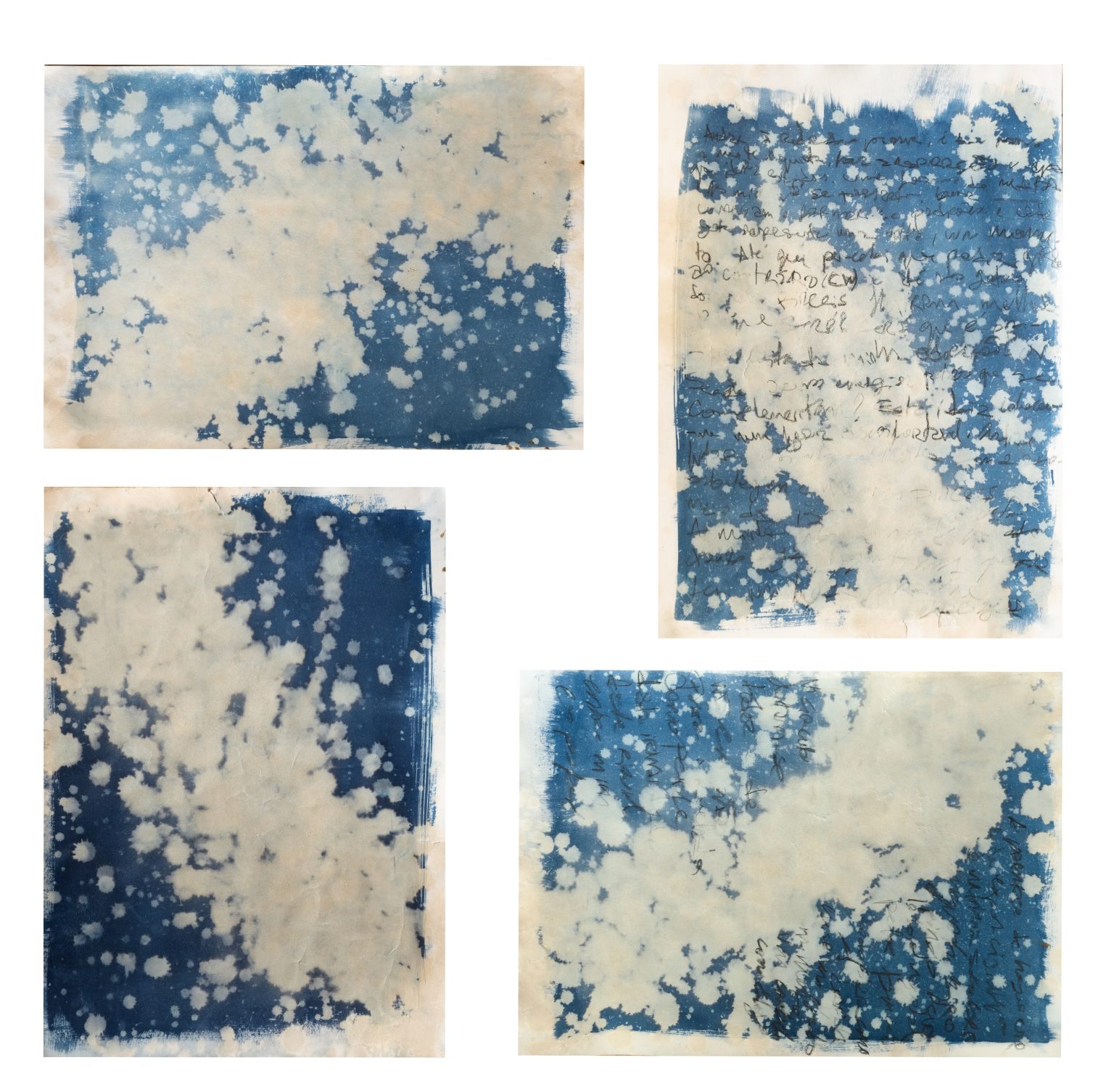 Programa – Braga 25