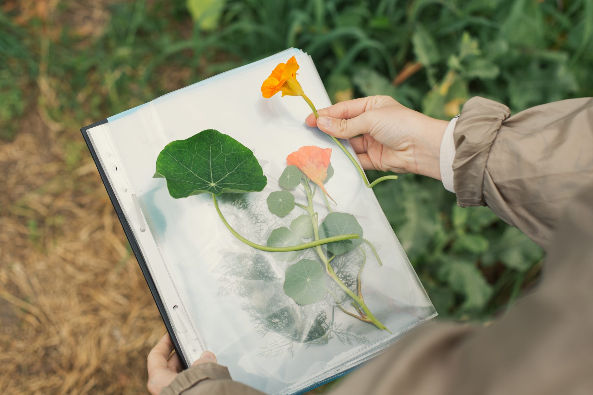 Programa – Braga 25